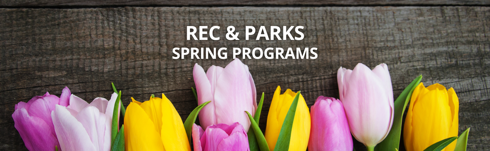 Rec & Parks Programs: Spring 2025